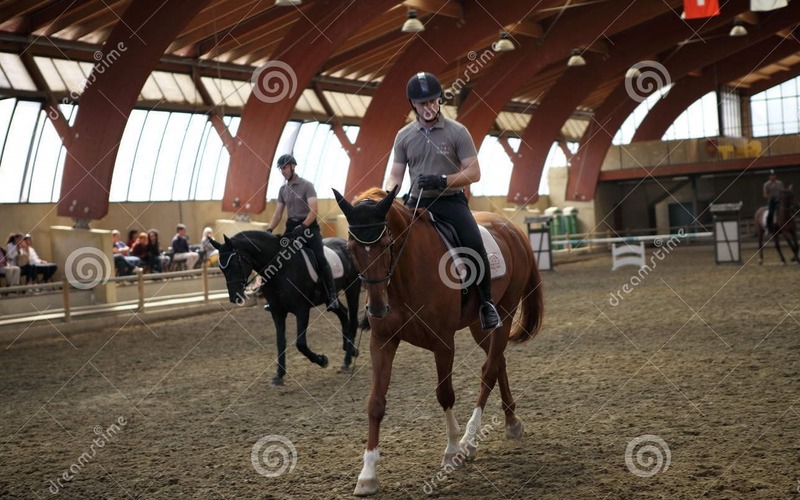 Rijlessen - De Lindehoeve Stables